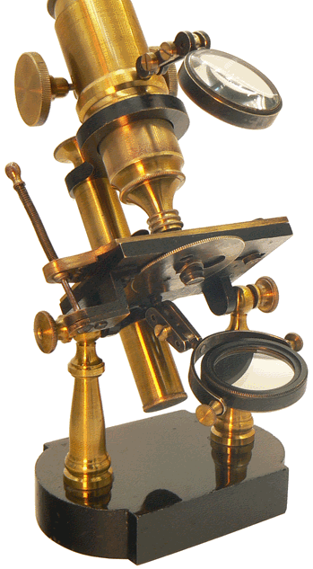 Le Compendium - Microscope à double colonne et platine mobile - platine ...