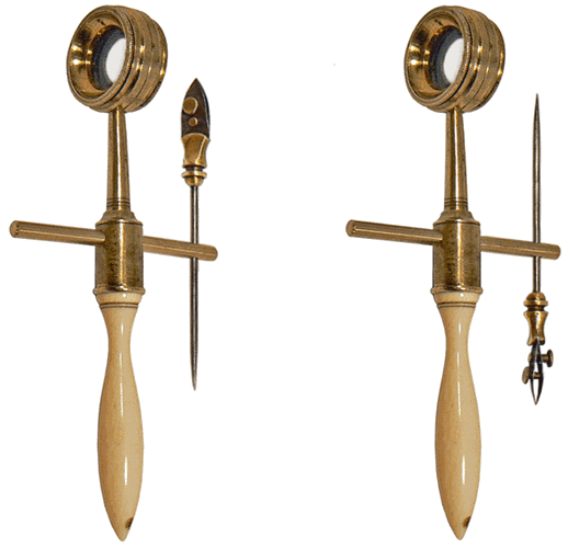 Microscope de botaniste - Flower microscope - Microscope de poche ...